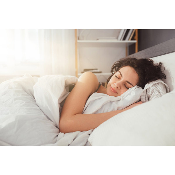Minocasa All Season Microfiber Down Alternative Comforter Wayfair